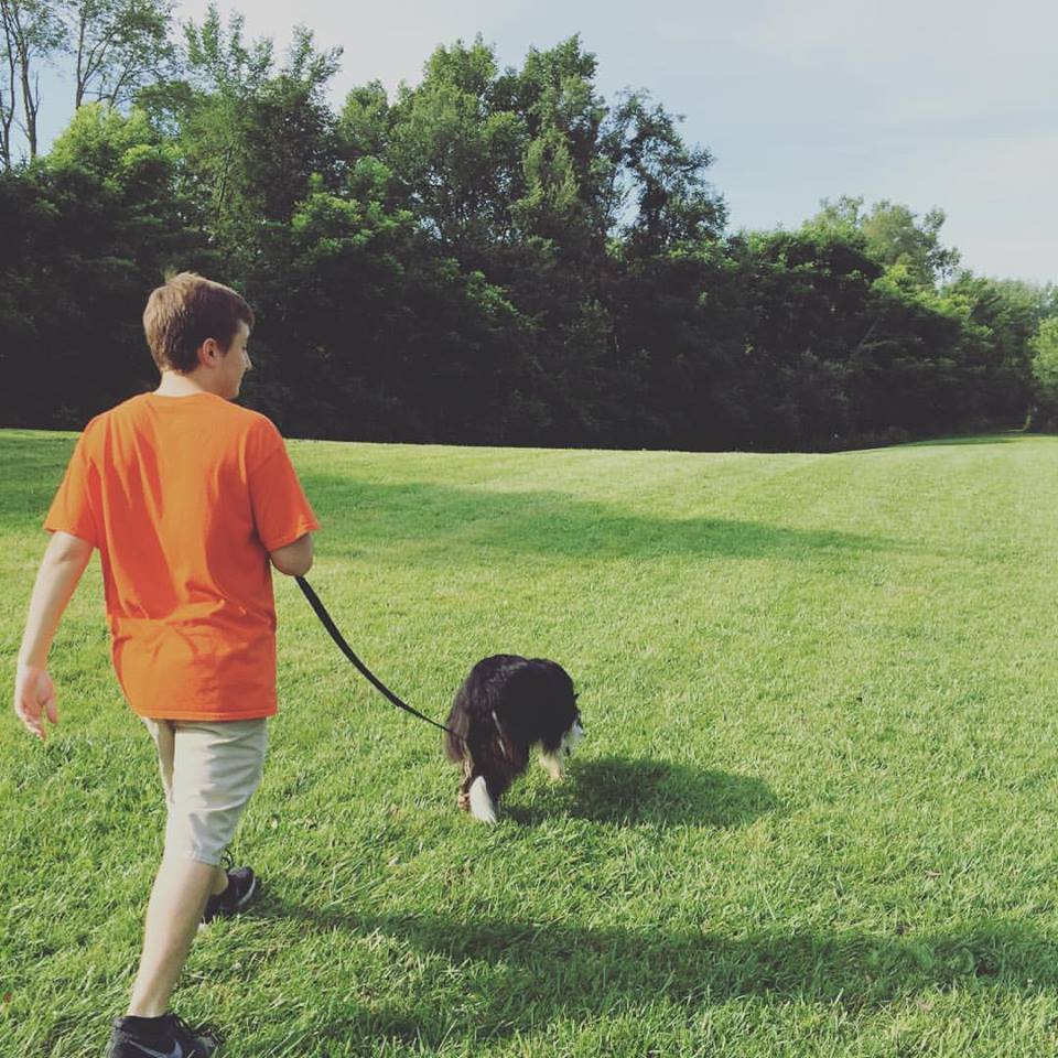 Law's Country Kennel - Dog Confinement at our Kennel - Fort Wayne